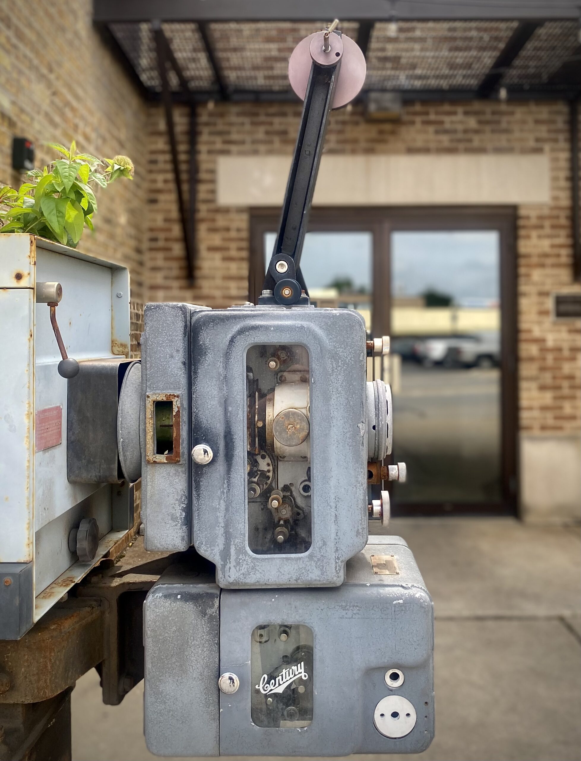 ephemera - mimi rosenbush